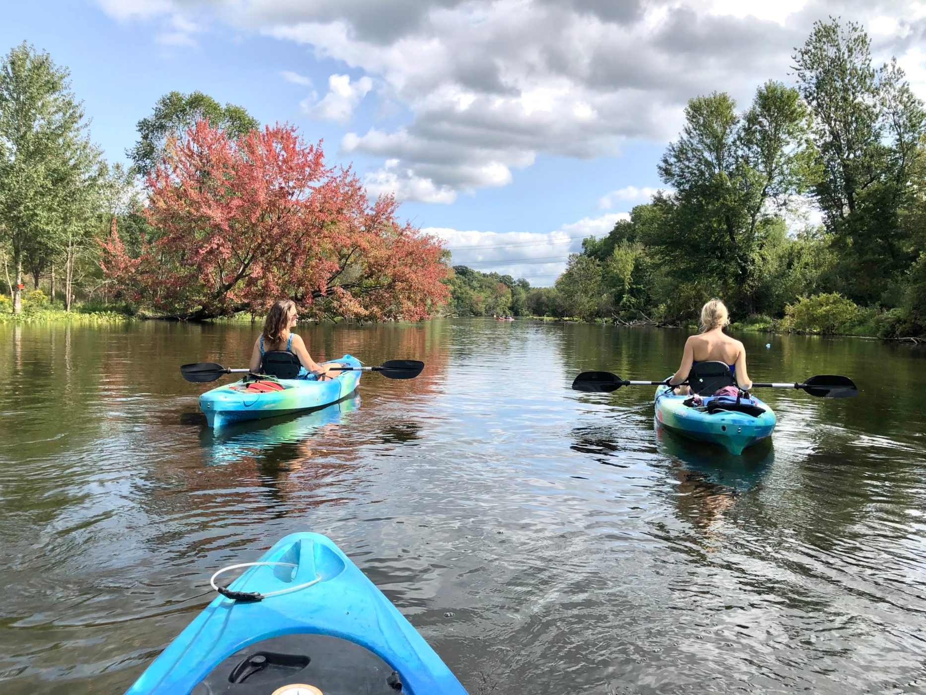 Hudson Mills - Delhi Metropark Canoe, Kayak Trips | Skip's